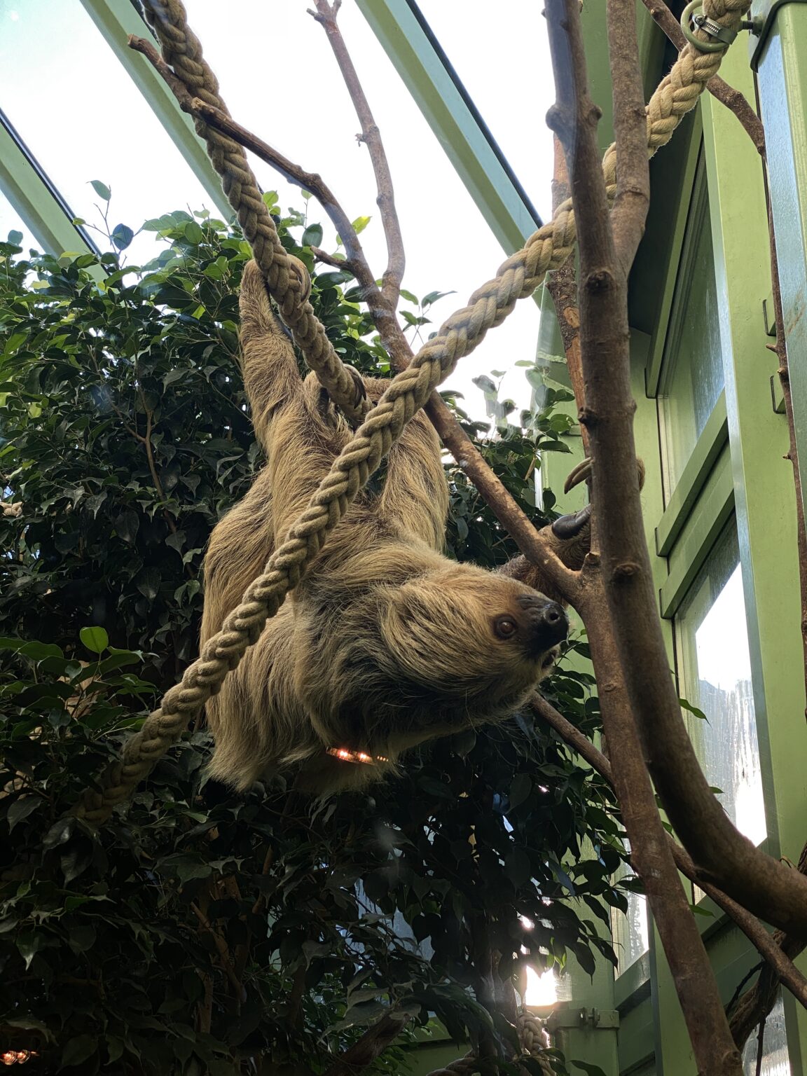 Visit the zoo of Berlin bei Home in Berlin